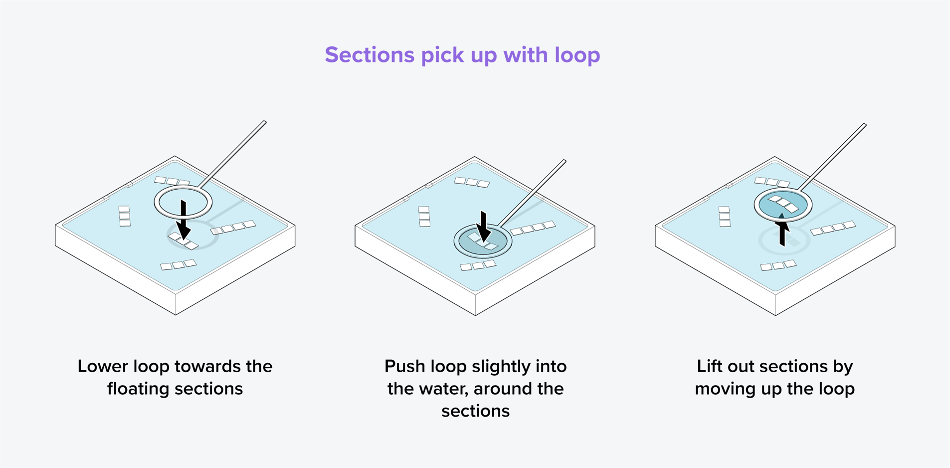 Array tomography workflow: tips and tricks on section handling from researchers in the field